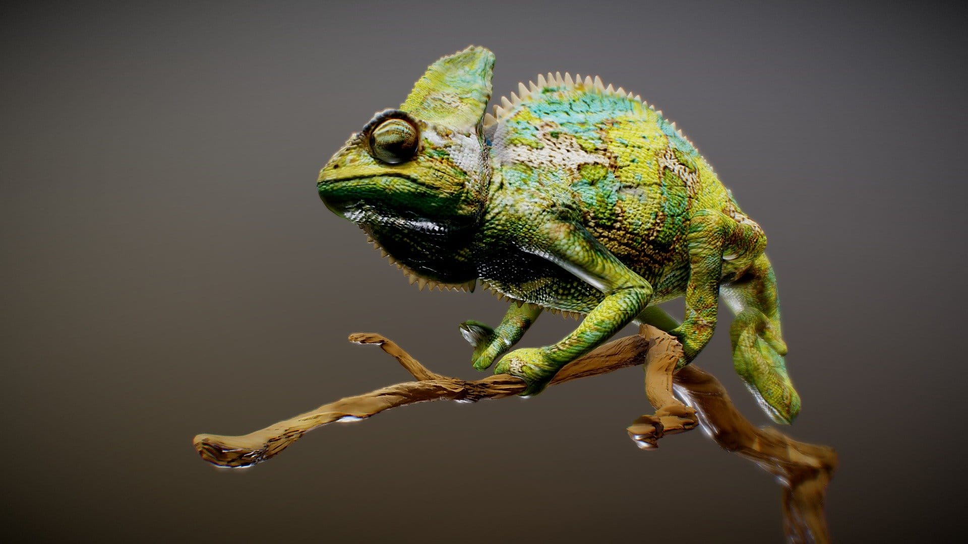 Chameleon Sculpt - OPEN3DSEA