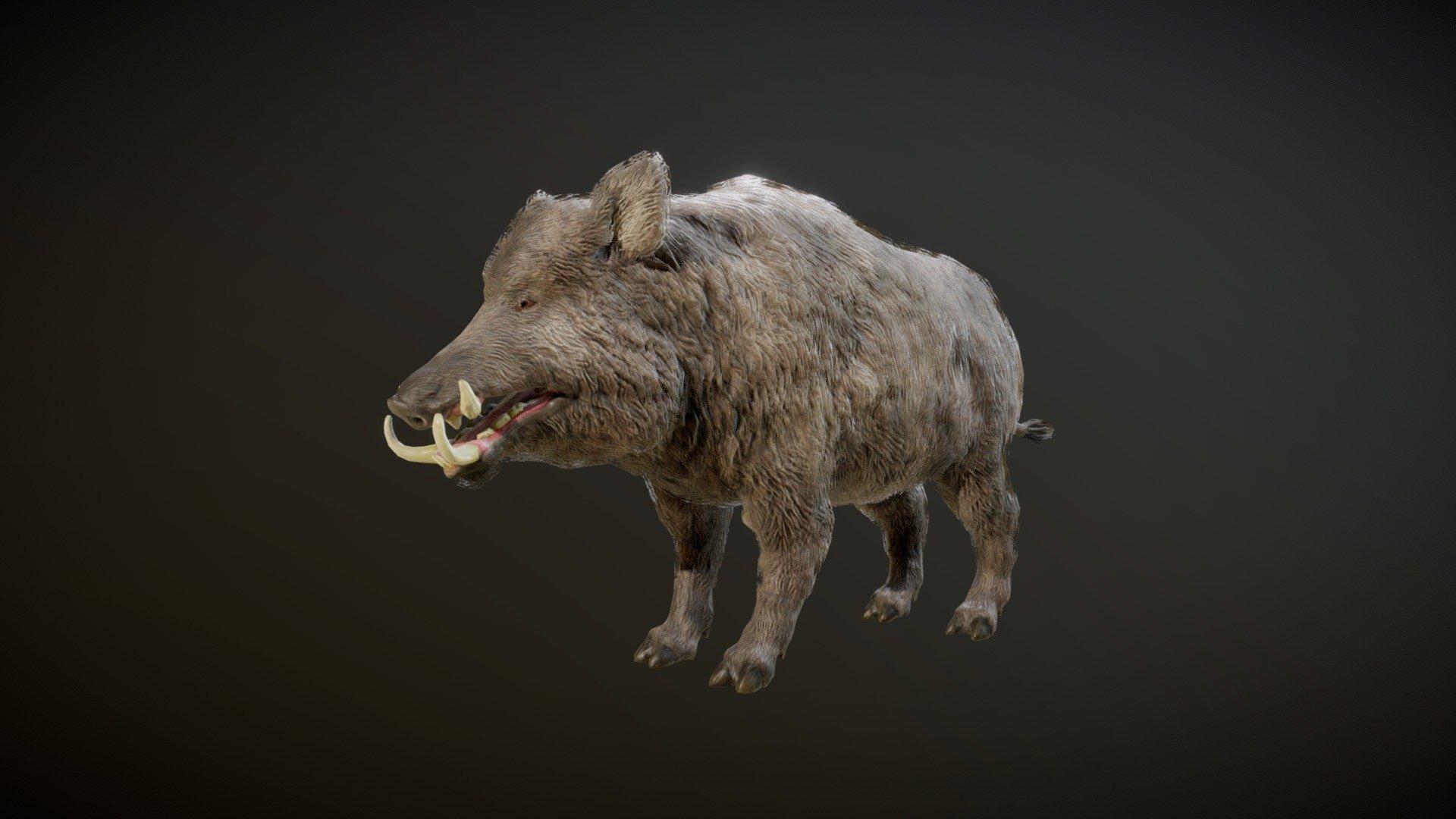 BOAR ANIMATIONS - OPEN3DSEA