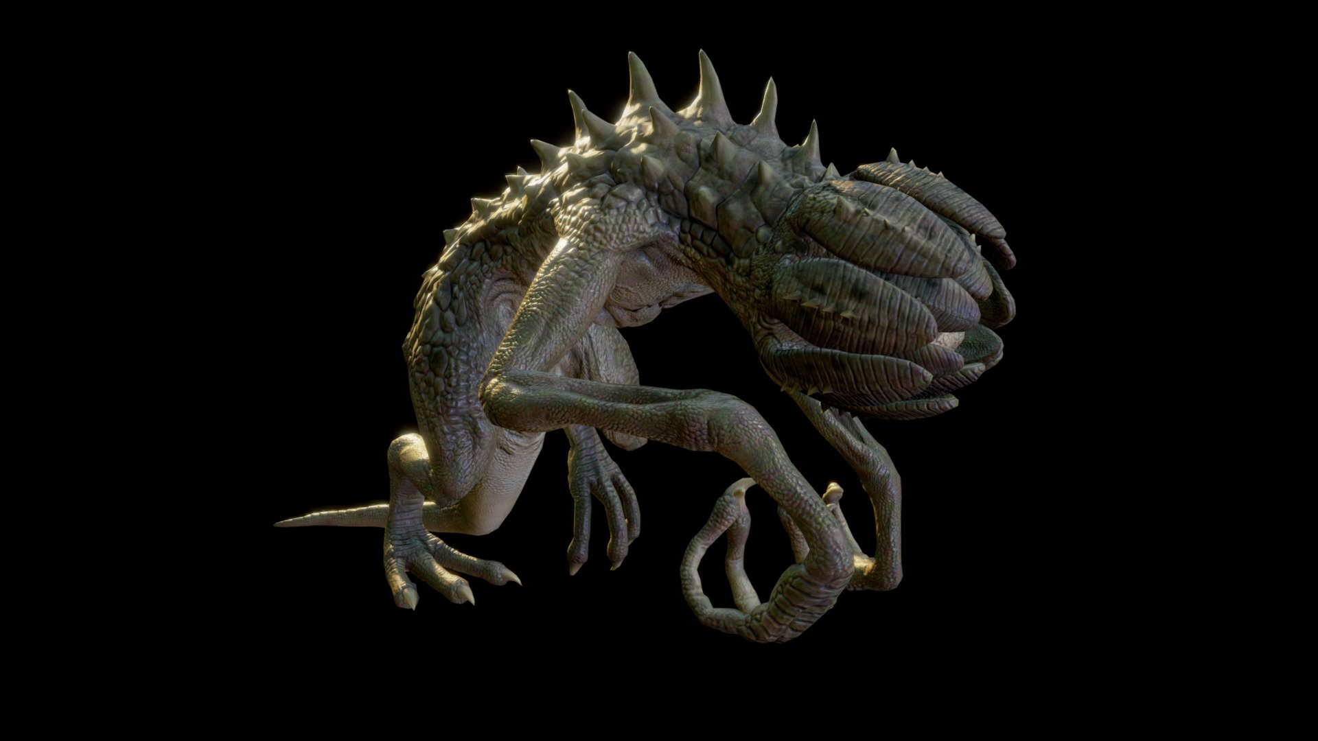 LACODON ANIMATIONS - OPEN3DSEA