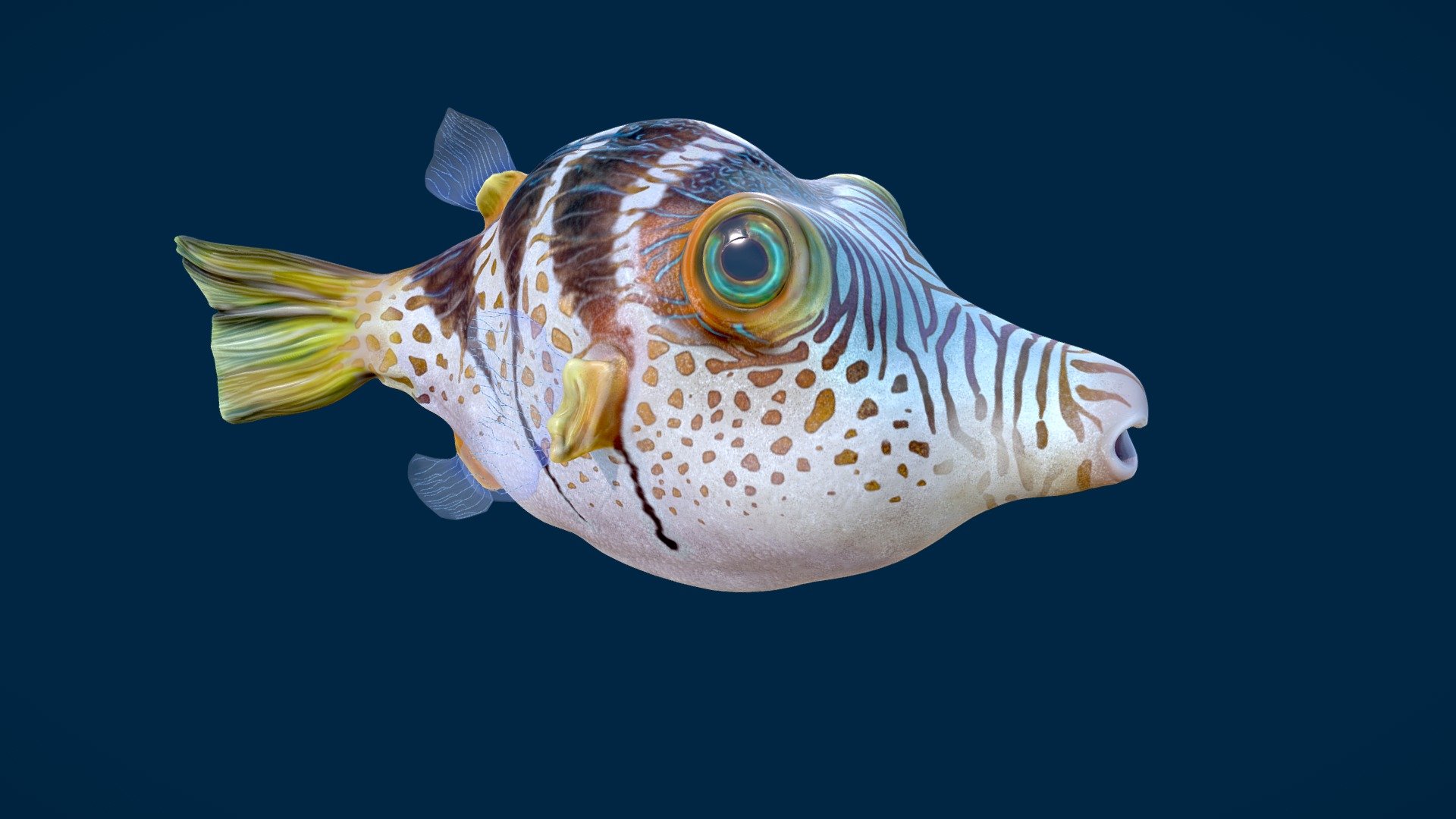 Valentinni's sharpnose puffer - OPEN3DSEA