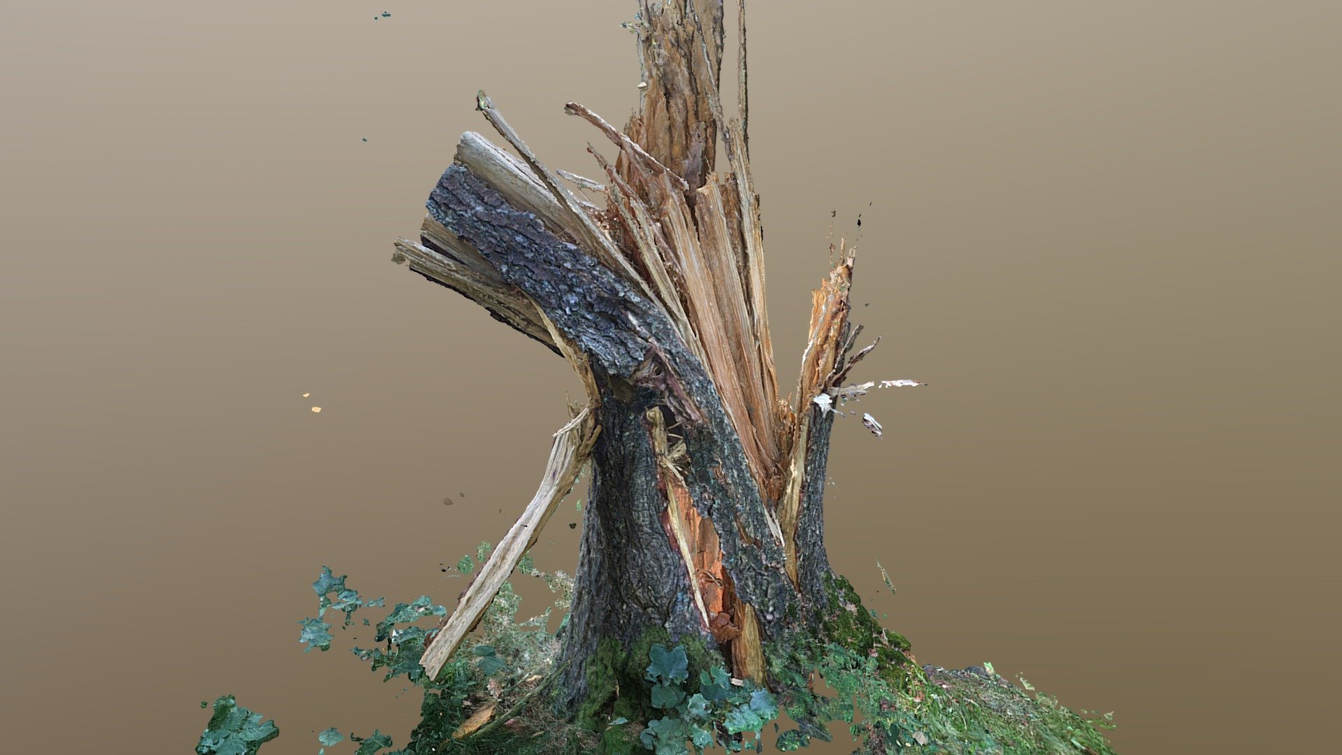 Split tree - OPEN3DSEA