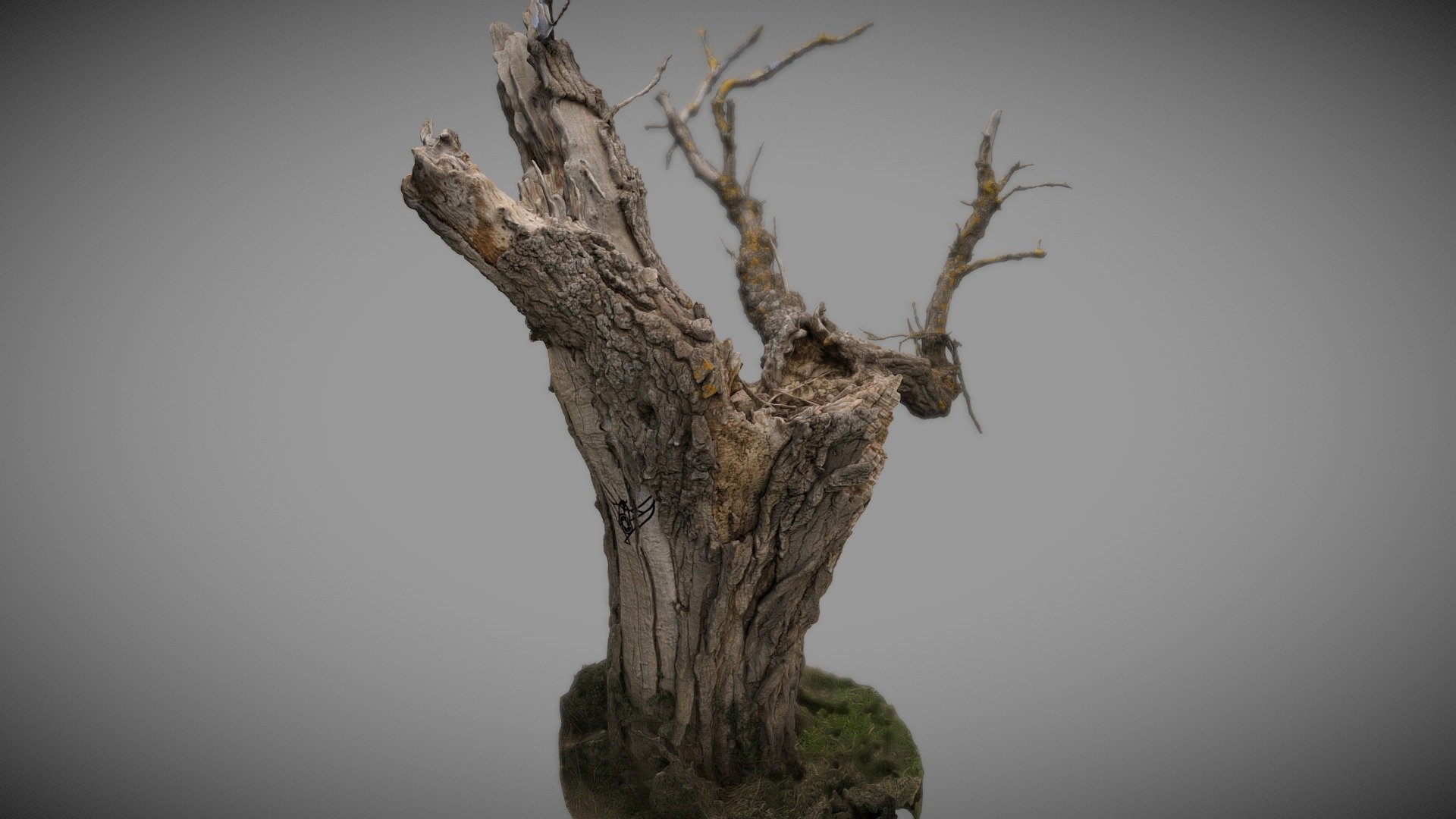 Arbre mort - Dead tree 3D Model Download - Game Ready Asset | Open3DSea