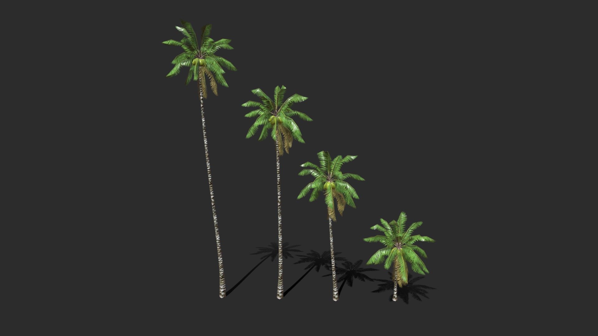 Coconut Palm Trees-01 - OPEN3DSEA