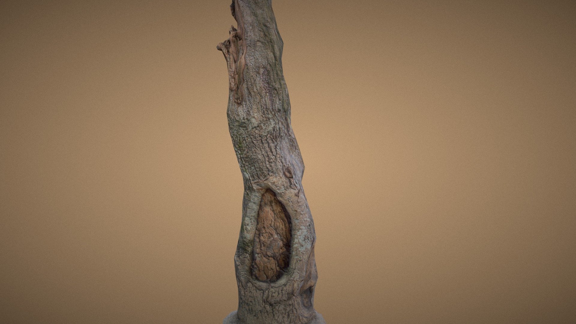 Dead/Broken Tree - OPEN3DSEA