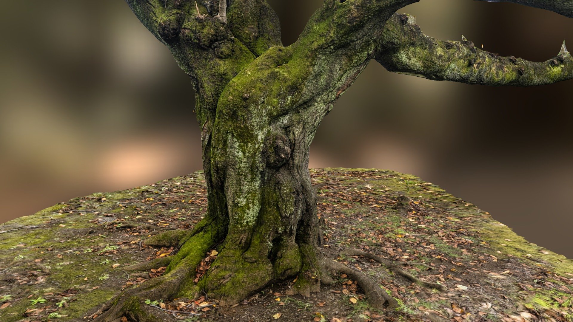 Mossy tree with big branches scan - OPEN3DSEA
