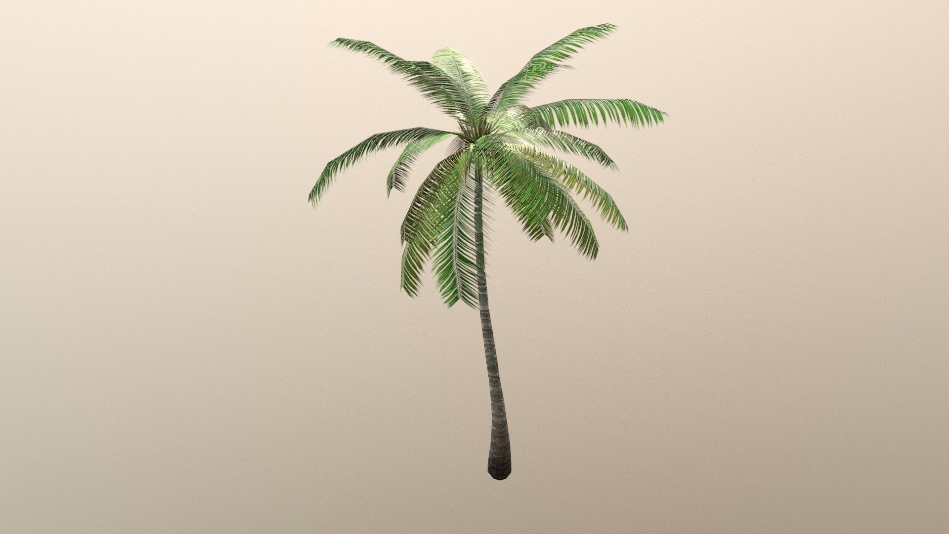 Palm tree - OPEN3DSEA