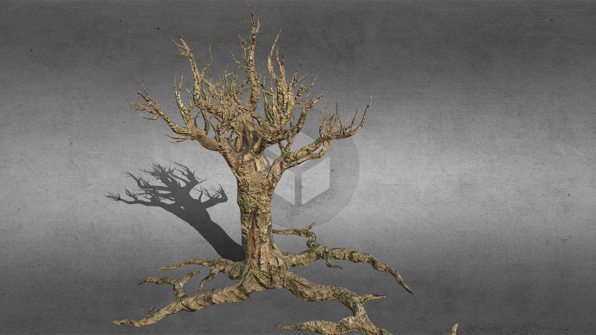 Tree (HP) - OPEN3DSEA