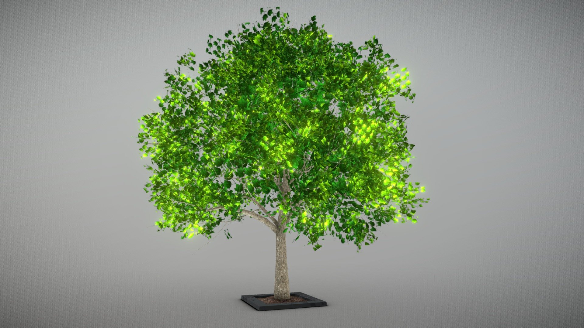 Tree Lowpoly - OPEN3DSEA