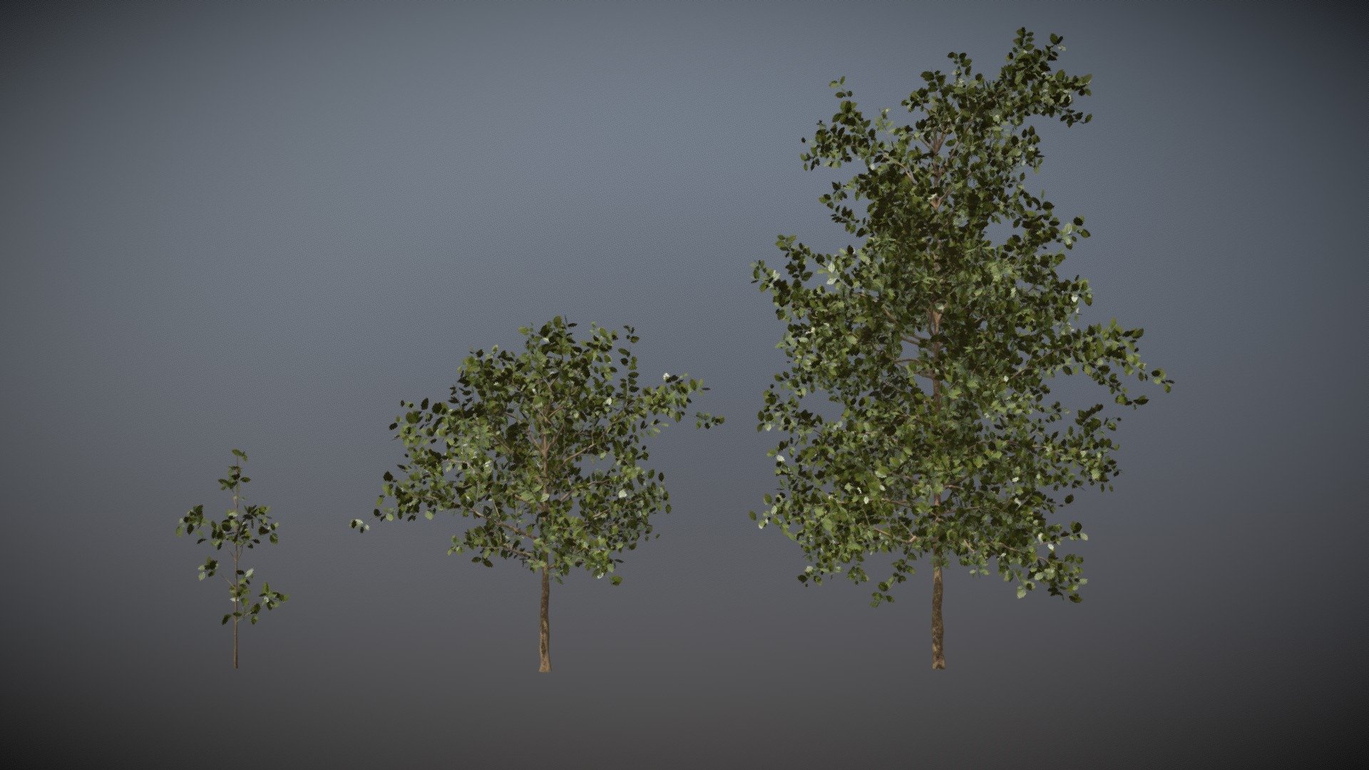 Tree Pack A - OPEN3DSEA