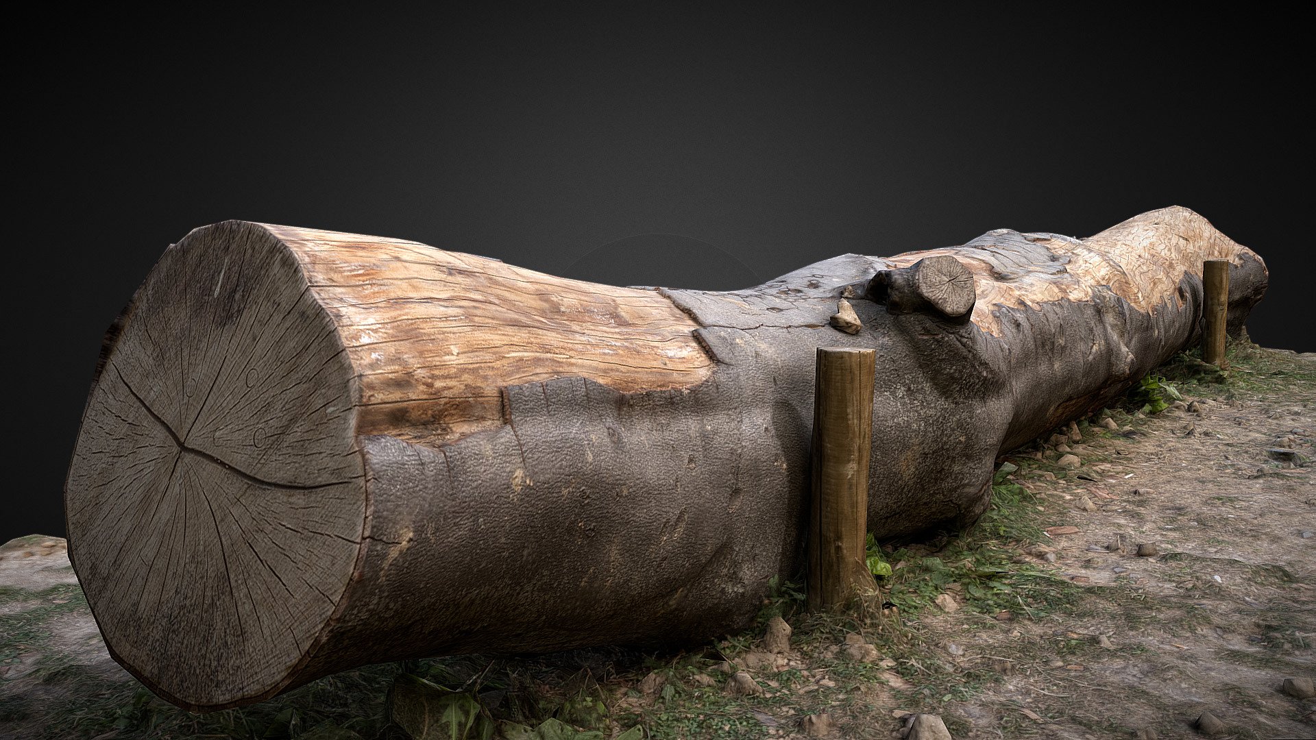 Tree trunk bench - OPEN3DSEA