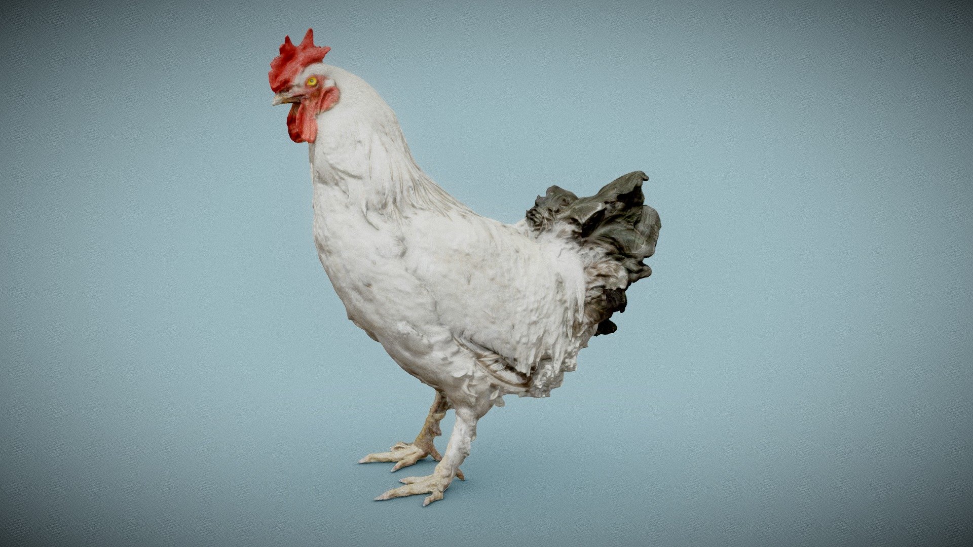 Brahma Haan - OPEN3DSEA