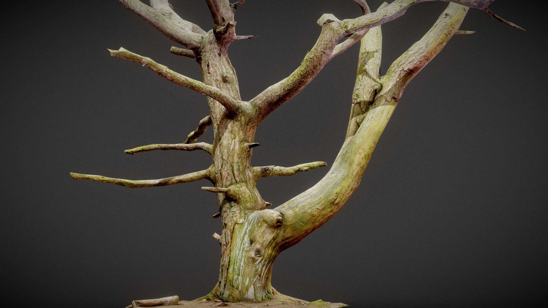 Dancing Tree - OPEN3DSEA