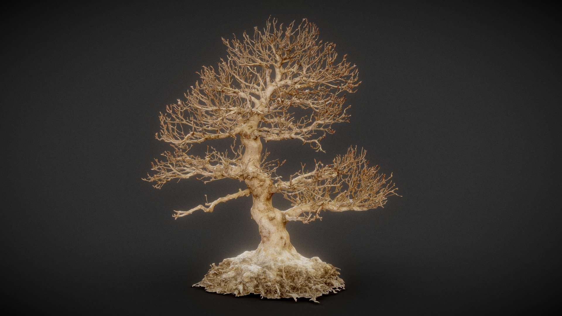 Dead Bonsai 1 - OPEN3DSEA