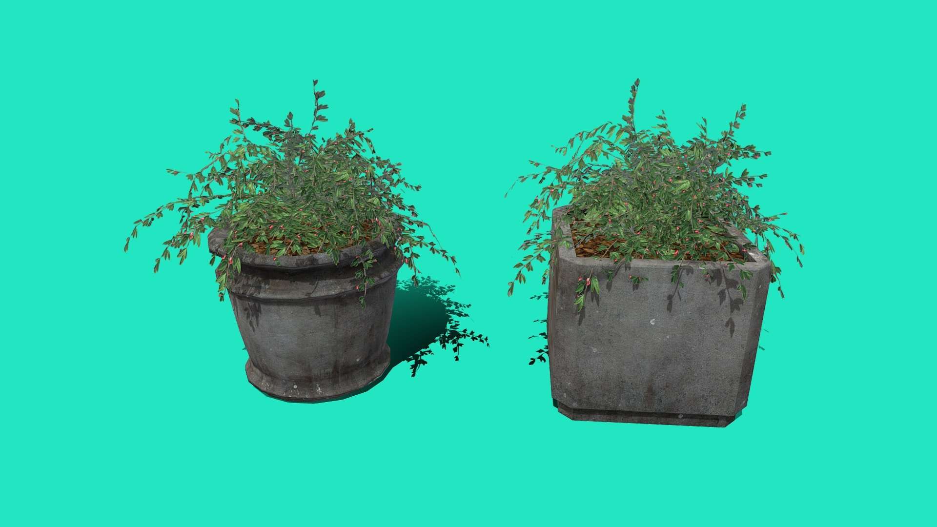 Flower Pot - Ready to Unity HDRP - OPEN3DSEA
