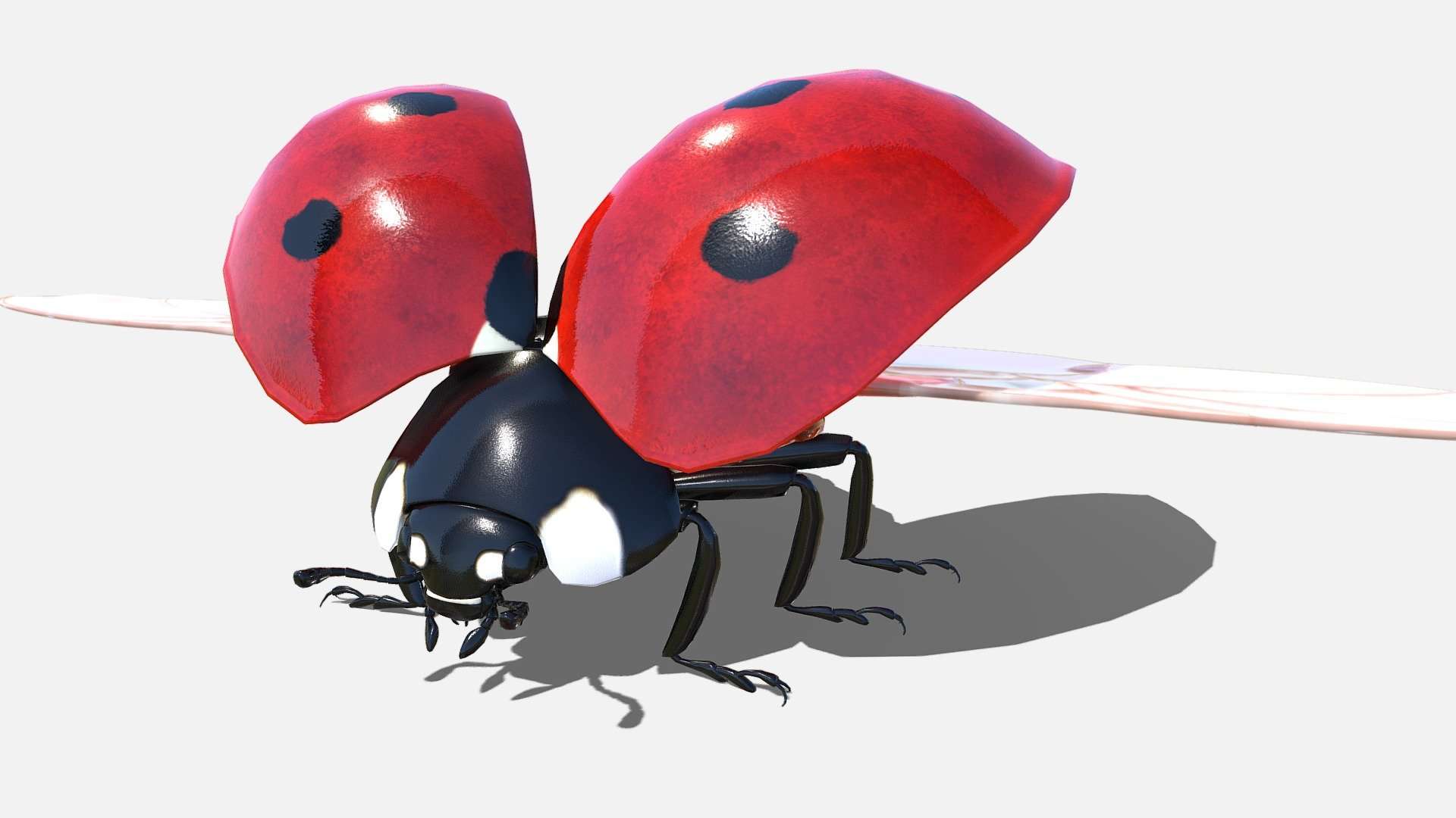 Ladybird 3D Model Download - Game Ready Asset | Open3DSea
