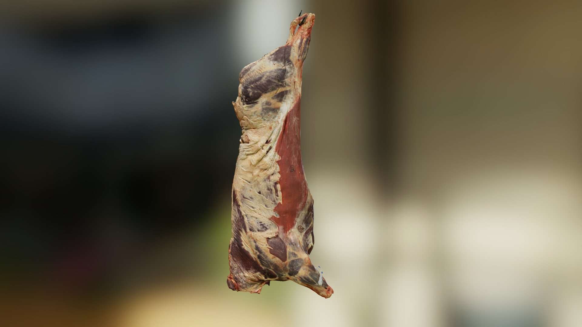 Meat Carcass - OPEN3DSEA