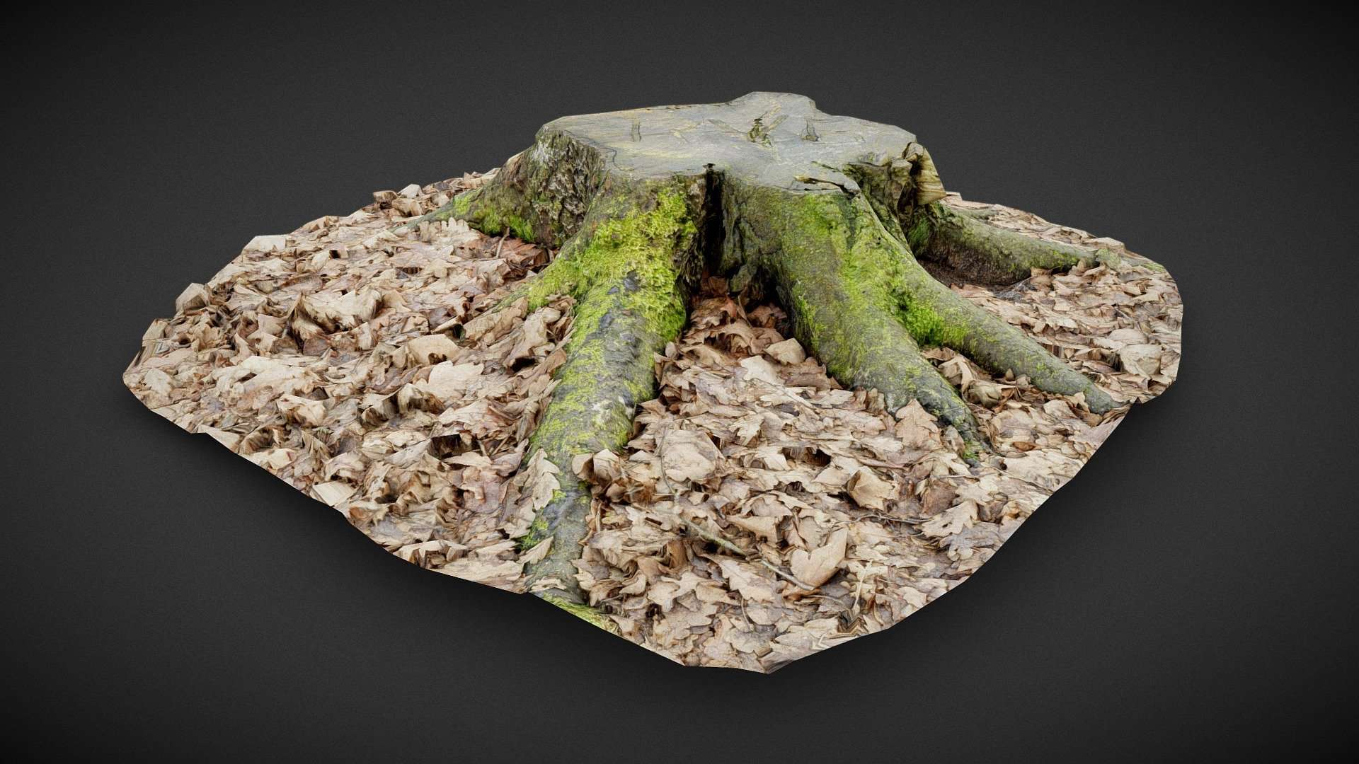 Mini Mos Stump - OPEN3DSEA