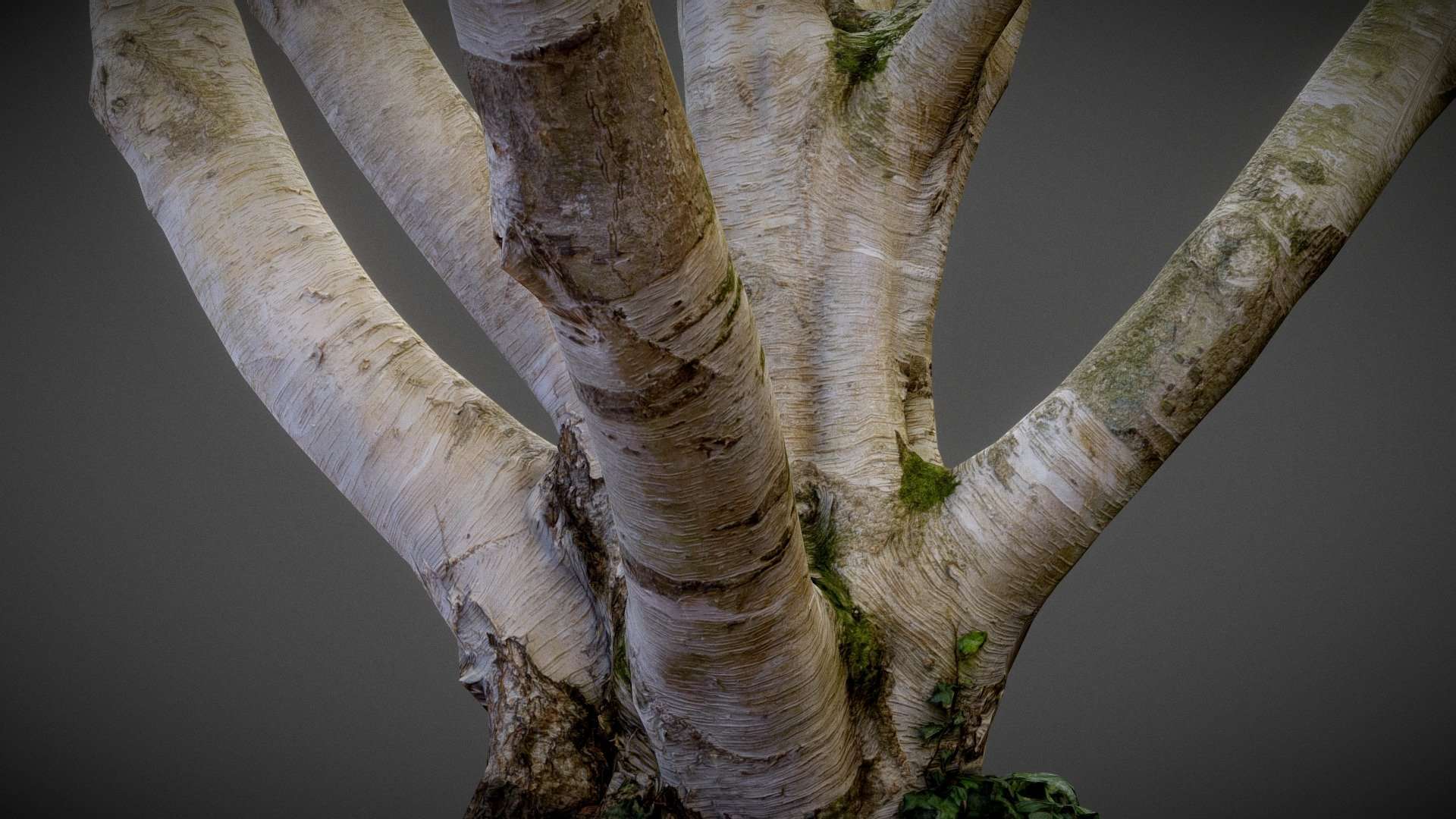 Paper Tree 3D Model Download - Game Ready Asset | Open3DSea