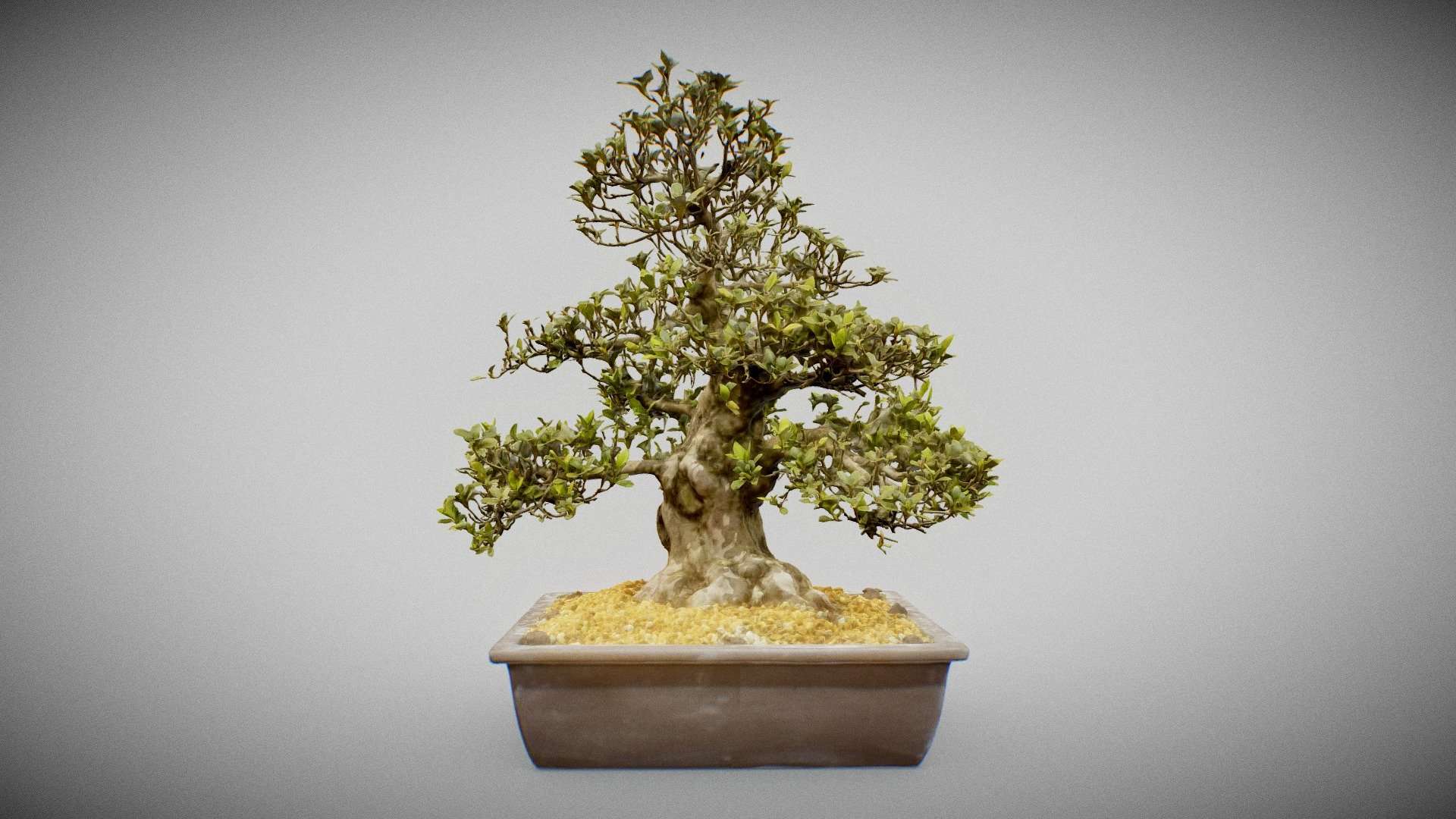 Satsuki Choyo - OPEN3DSEA