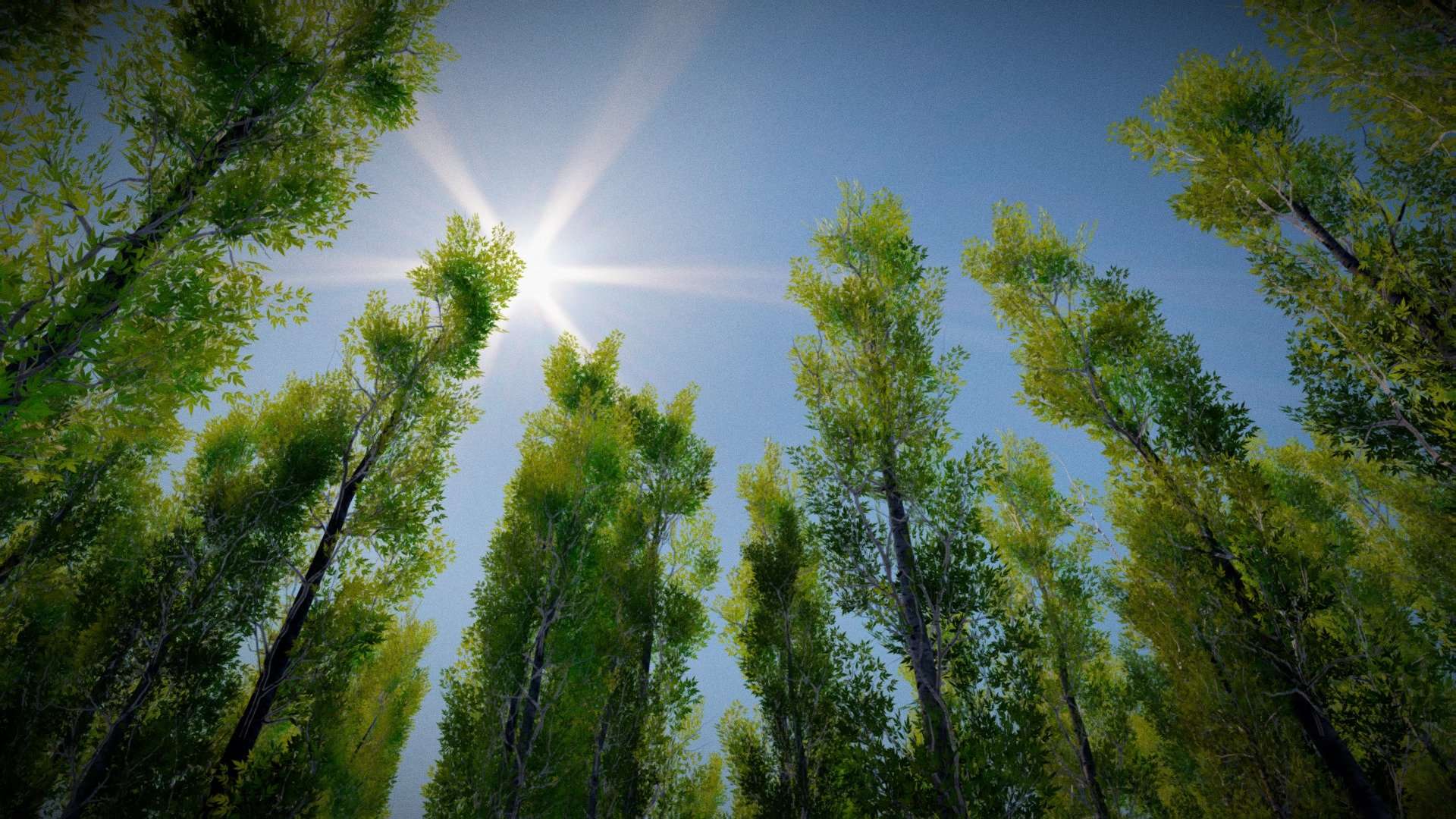 Long Trees Collection - OPEN3DSEA