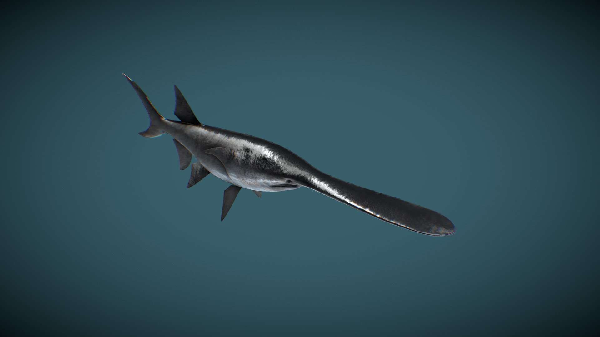 Paddlefish - OPEN3DSEA